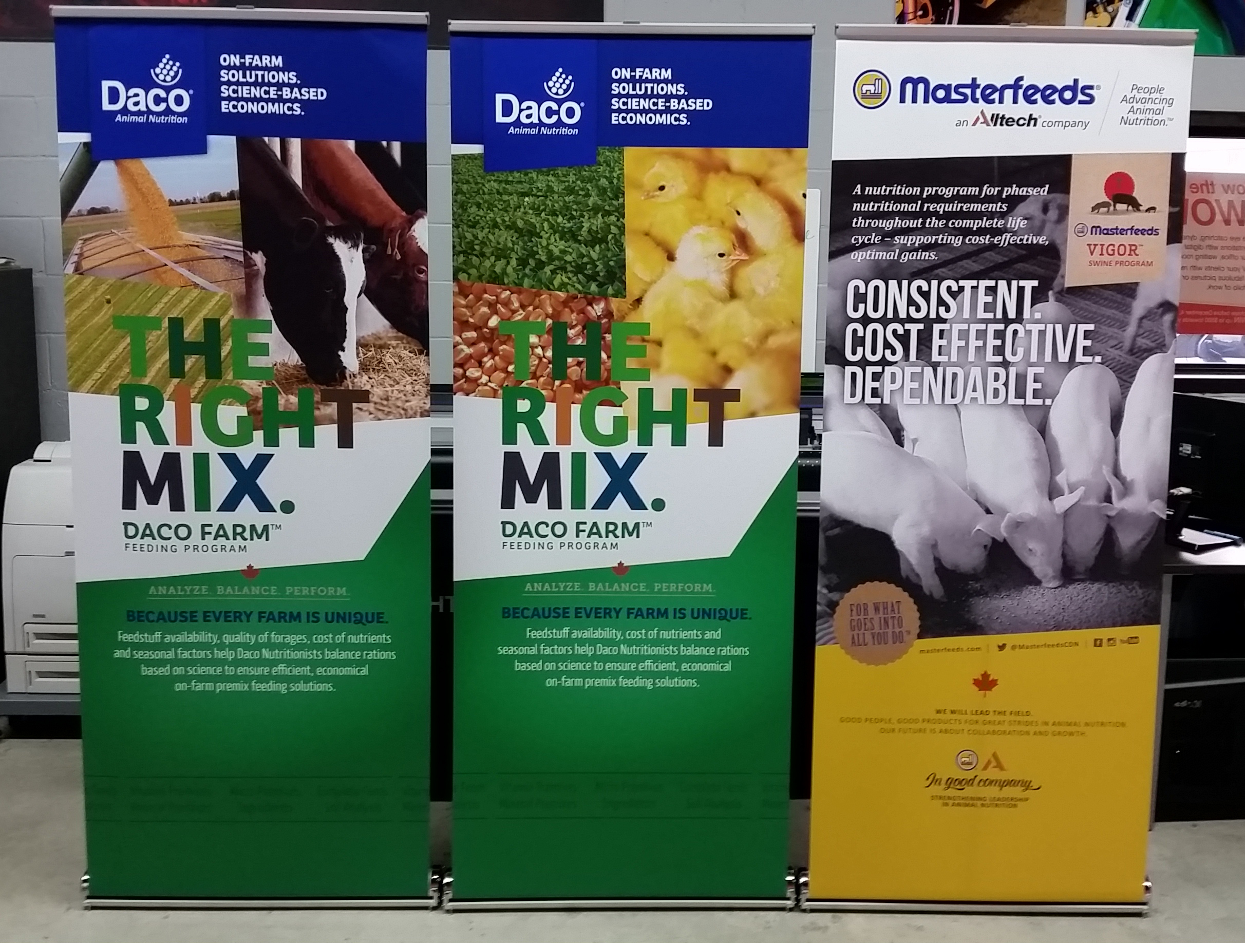 What Is the Difference Between Uncoated, Matte and Gloss Paper Finishes ...